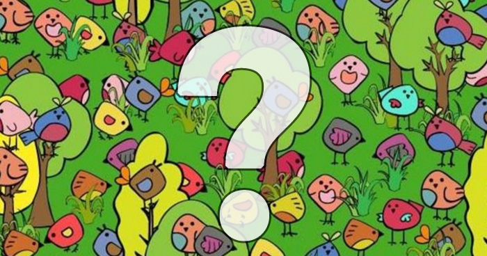 How Fast Can You Find The Sleeping Bird? – Quizcookie