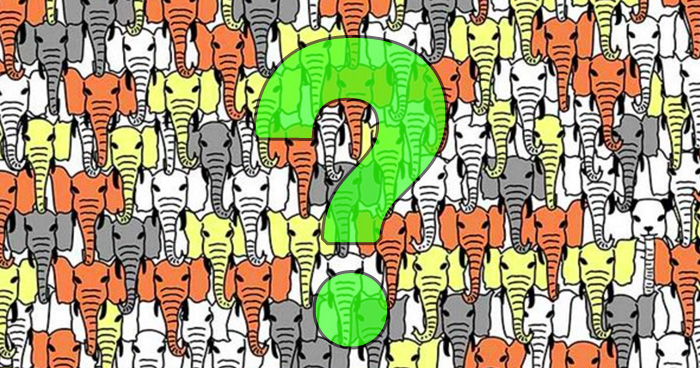 Can You Spot the Panda Hidden in These Elephants? – Quizcookie